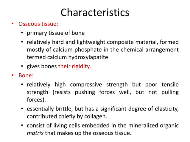 Biomechanics of Bone.ppt