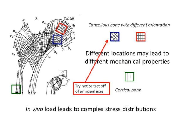 Biomechanics of Bone.ppt
