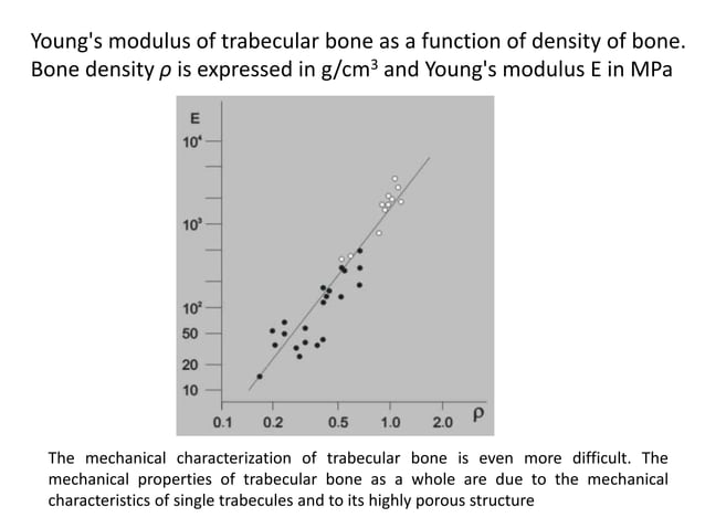 Biomechanics of Bone.ppt