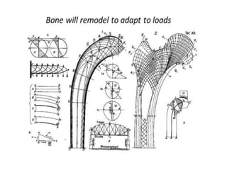 Biomechanics of Bone.ppt
