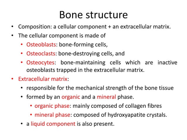Biomechanics of Bone.ppt
