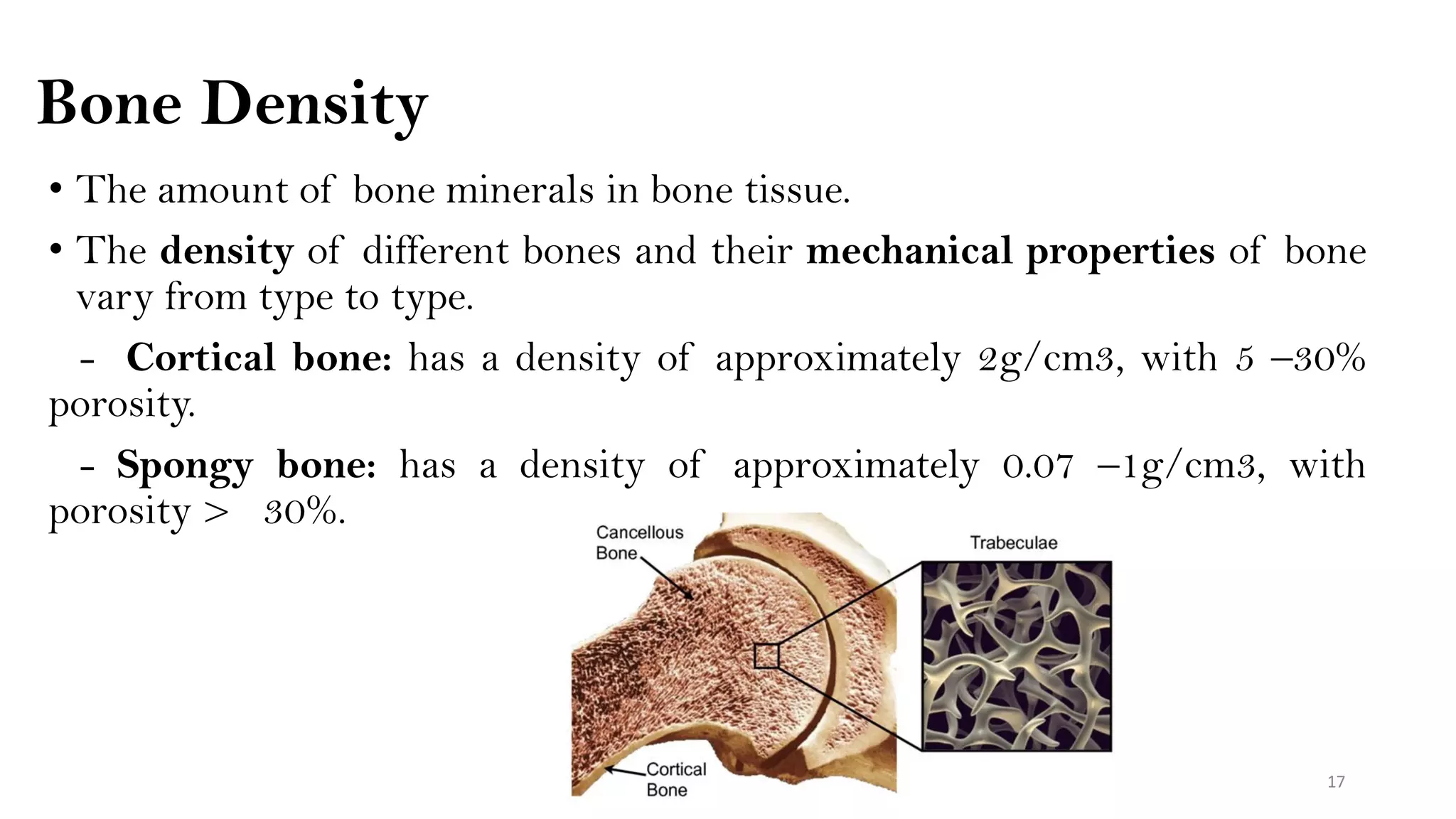 Biomechanics of bones PDF | PDF