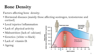 Biomechanics of bones PDF | PDF