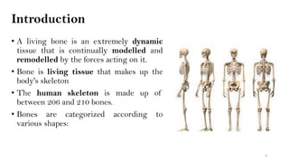 Biomechanics of bones PDF | PDF