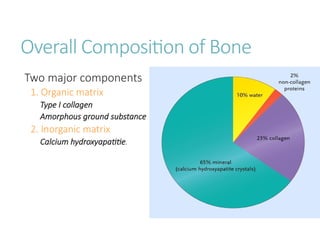 Comprehensive Biomechanics and Composition of Bone Structure | PPTX
