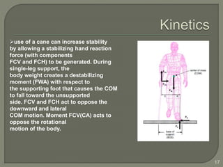 Biomechanics of cane, crutch and walker | PPTX