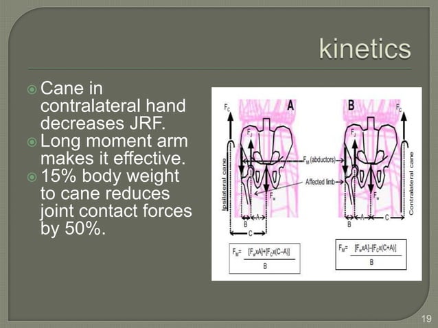 Biomechanics of cane, crutch and walker | PPTX | First Aid | Injuries