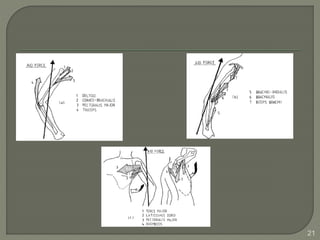 Biomechanics of cane, crutch and walker | PPTX