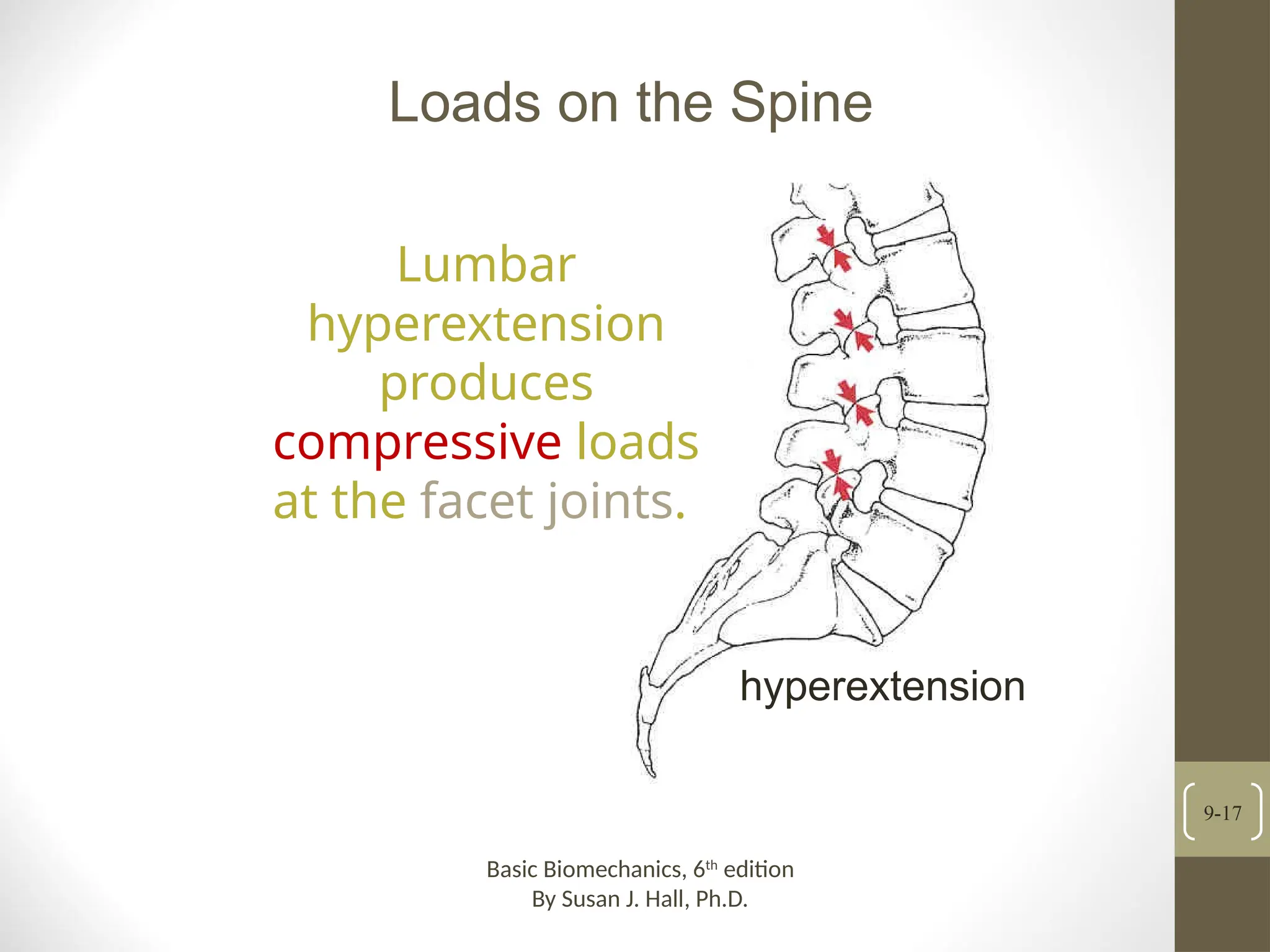 Biomechanics of cervical Spine by susan.j (1).ppt
