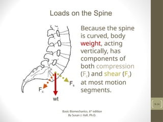 Biomechanics of cervical Spine by susan.j (1).ppt