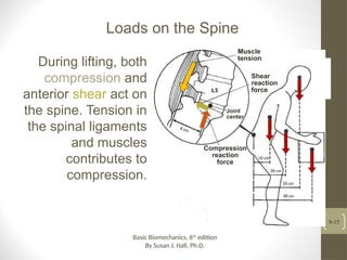 Biomechanics of cervical Spine by susan.j (1).ppt