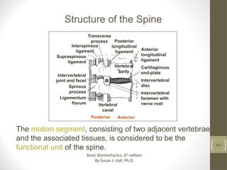 Biomechanics of cervical Spine by susan.j (1).ppt
