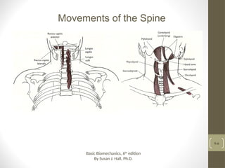 Biomechanics of cervical Spine by susan.j (1).ppt
