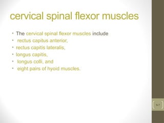 Biomechanics of cervical Spine by susan.j (1).ppt
