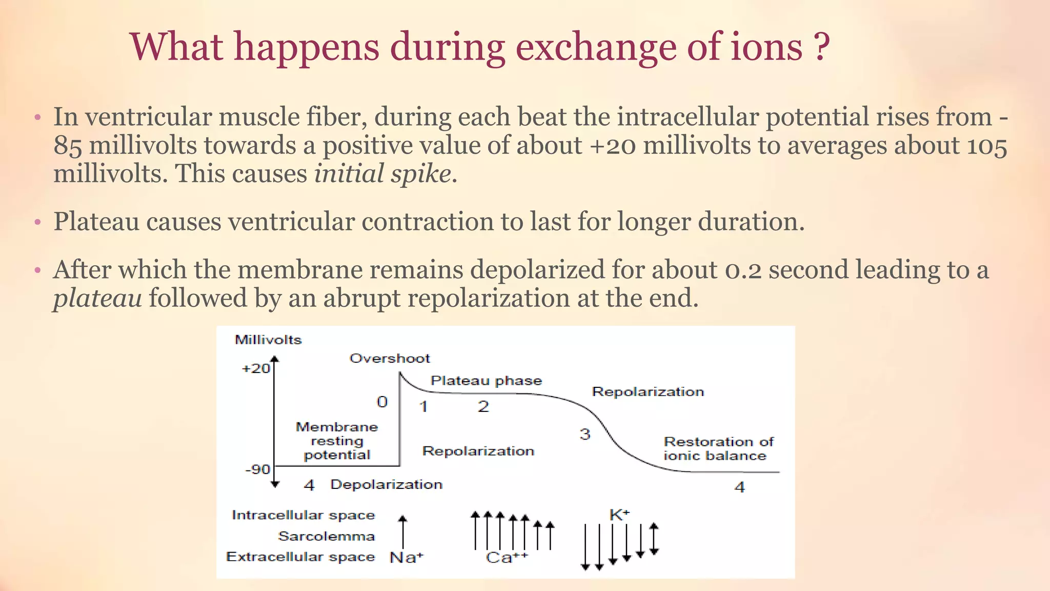 Biomechanics of circulation | PPTX