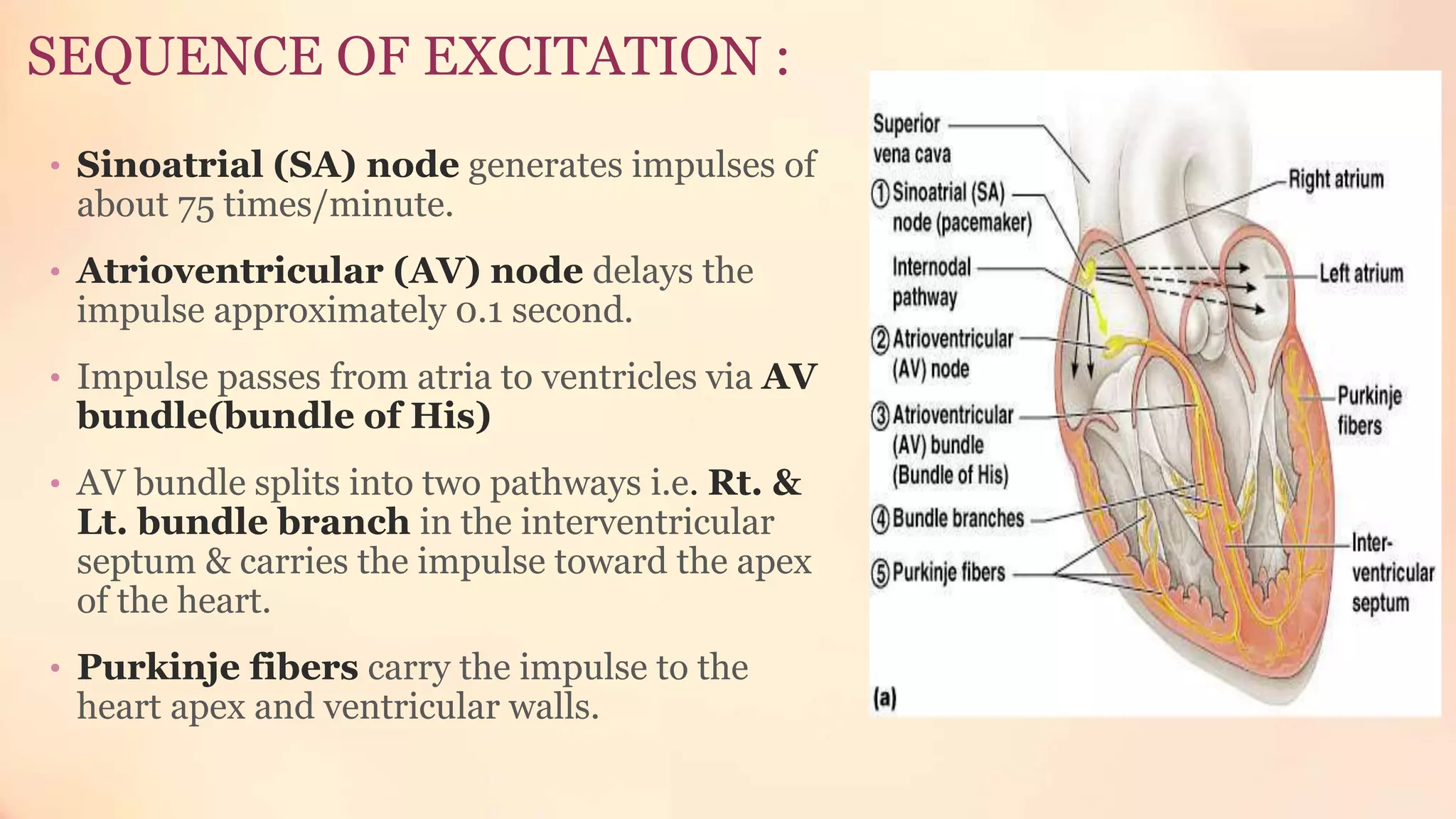 Biomechanics of circulation | PPTX