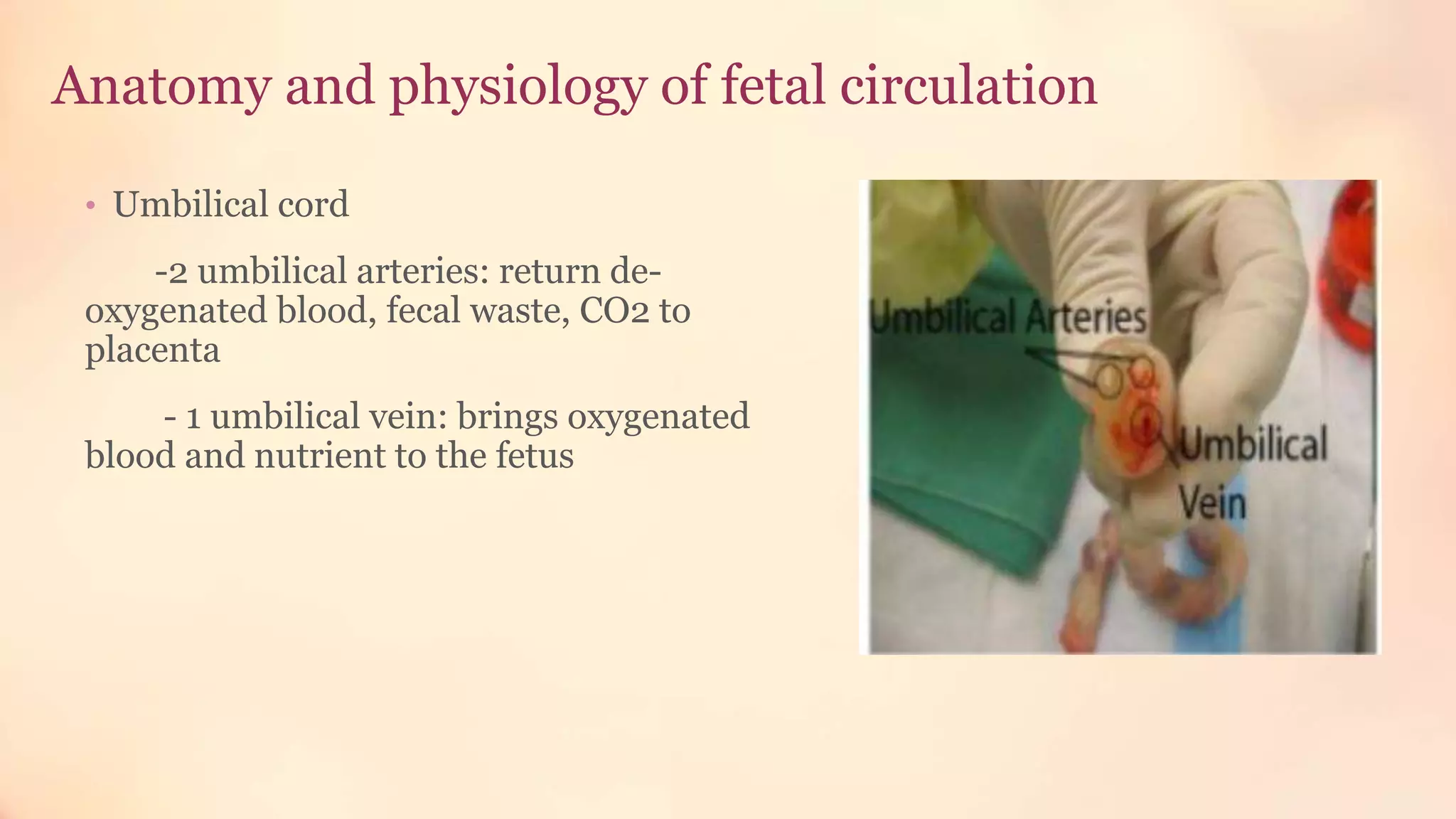 Biomechanics of circulation | PPTX