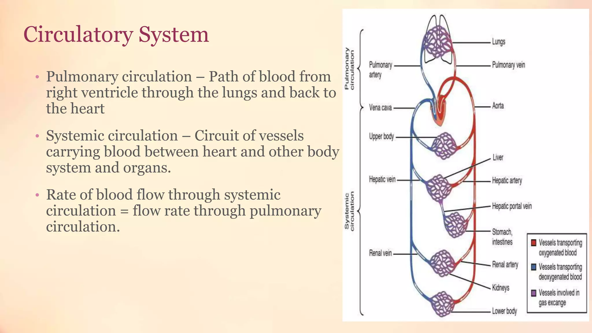 Biomechanics of circulation | PPTX