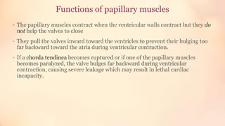 Biomechanics of circulation | PPTX