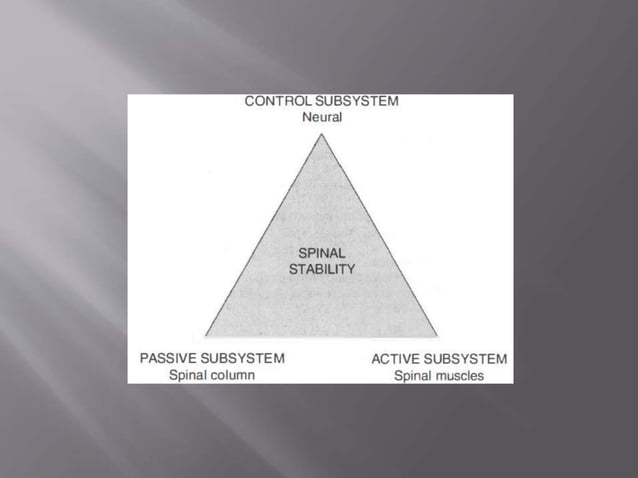 Biomechanics of core muscles | PPTX | Physical Therapy | Wellness