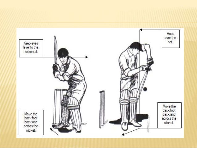 Biomechanics of cricket