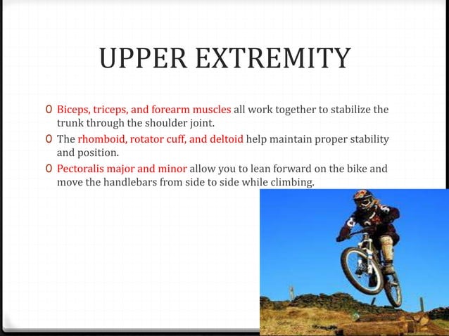 Biomechanics of cycling | PPTX | Death, Injury, or Military Conflict | Sensitive Topics