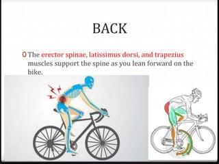 Biomechanics of cycling | PPTX