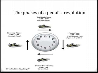 Biomechanics of cycling | PPTX