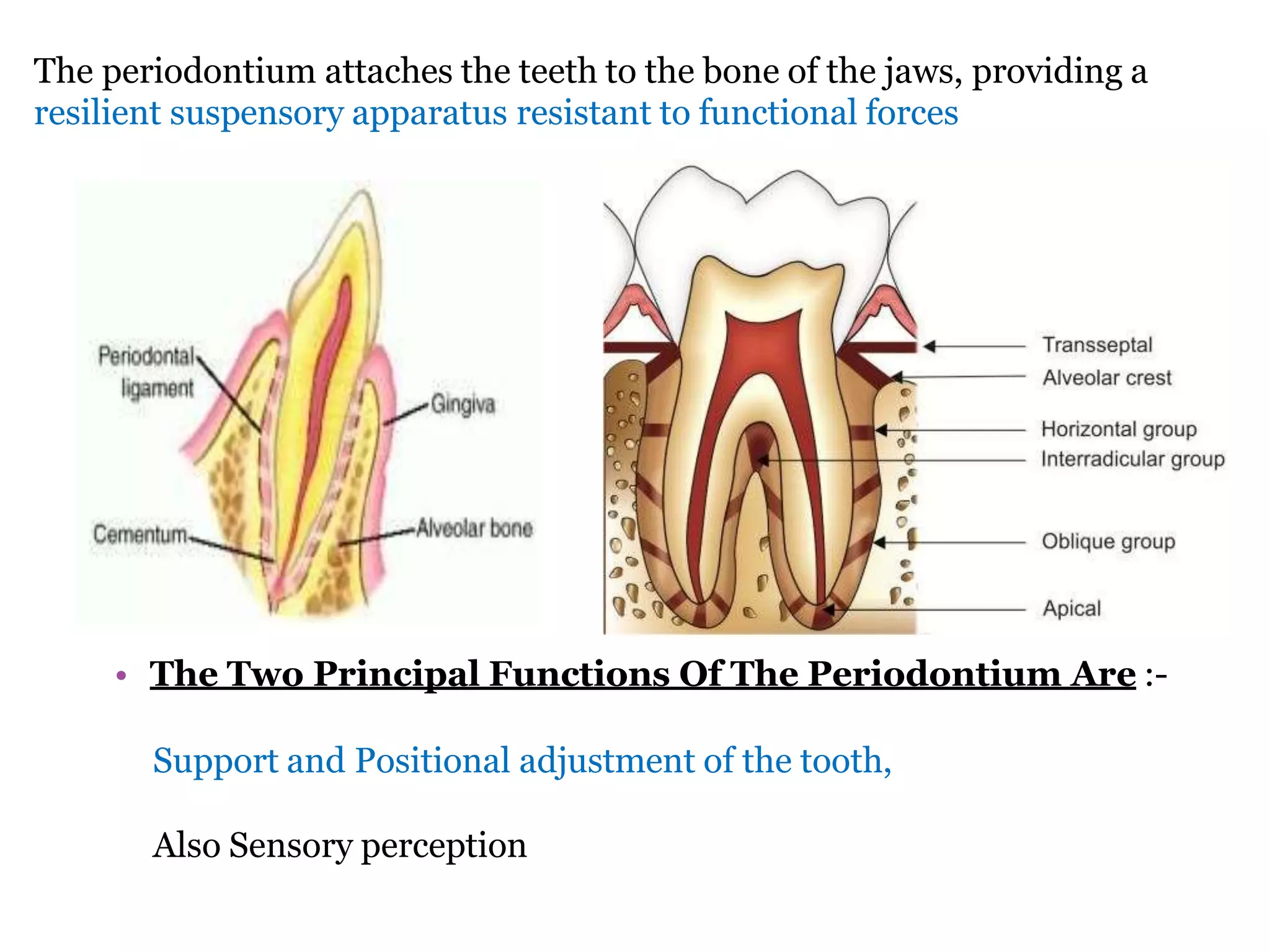 Biomechanics of Edentulous State | PPTX