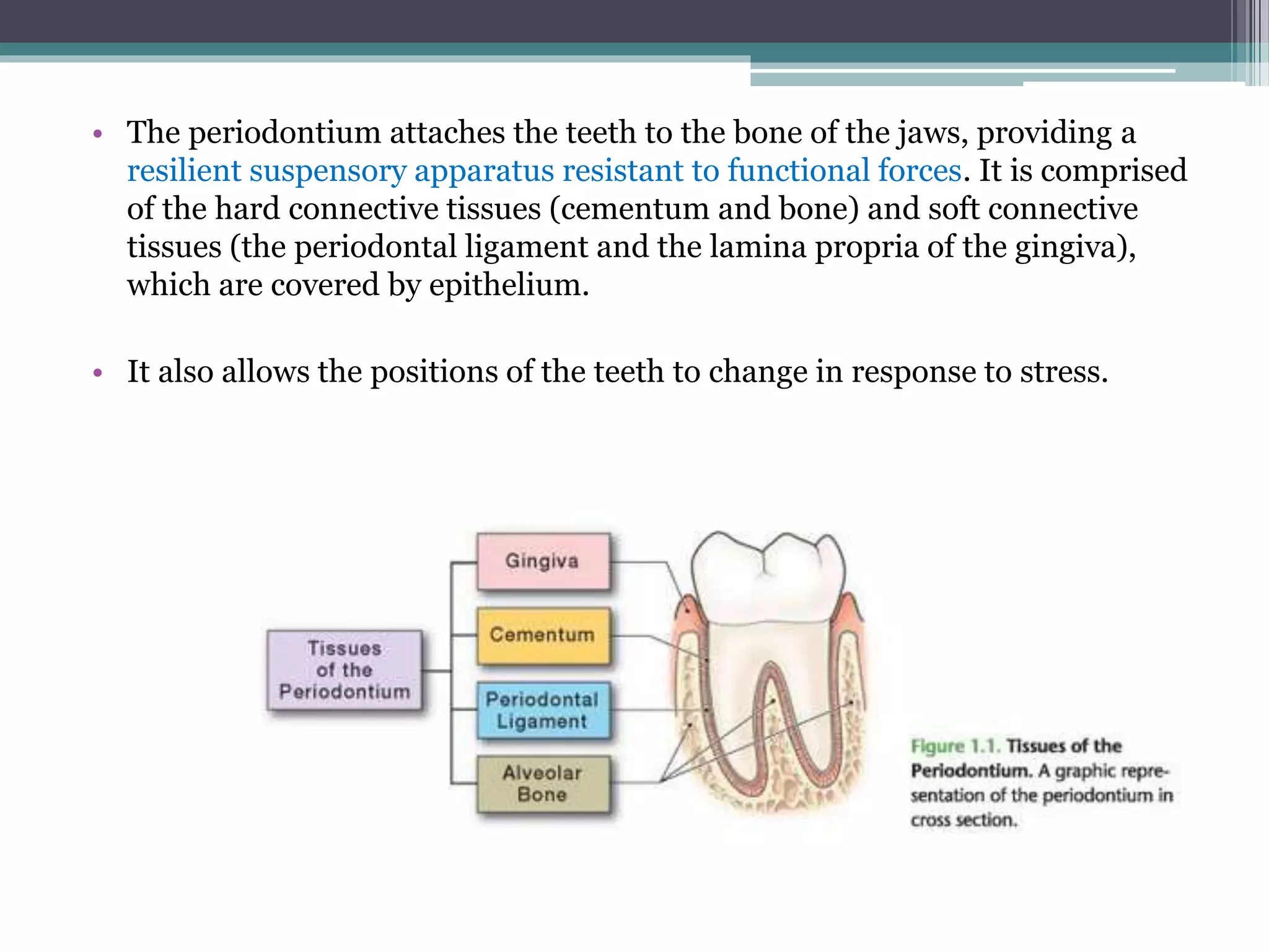 Biomechanics of edentulous state | PPTX