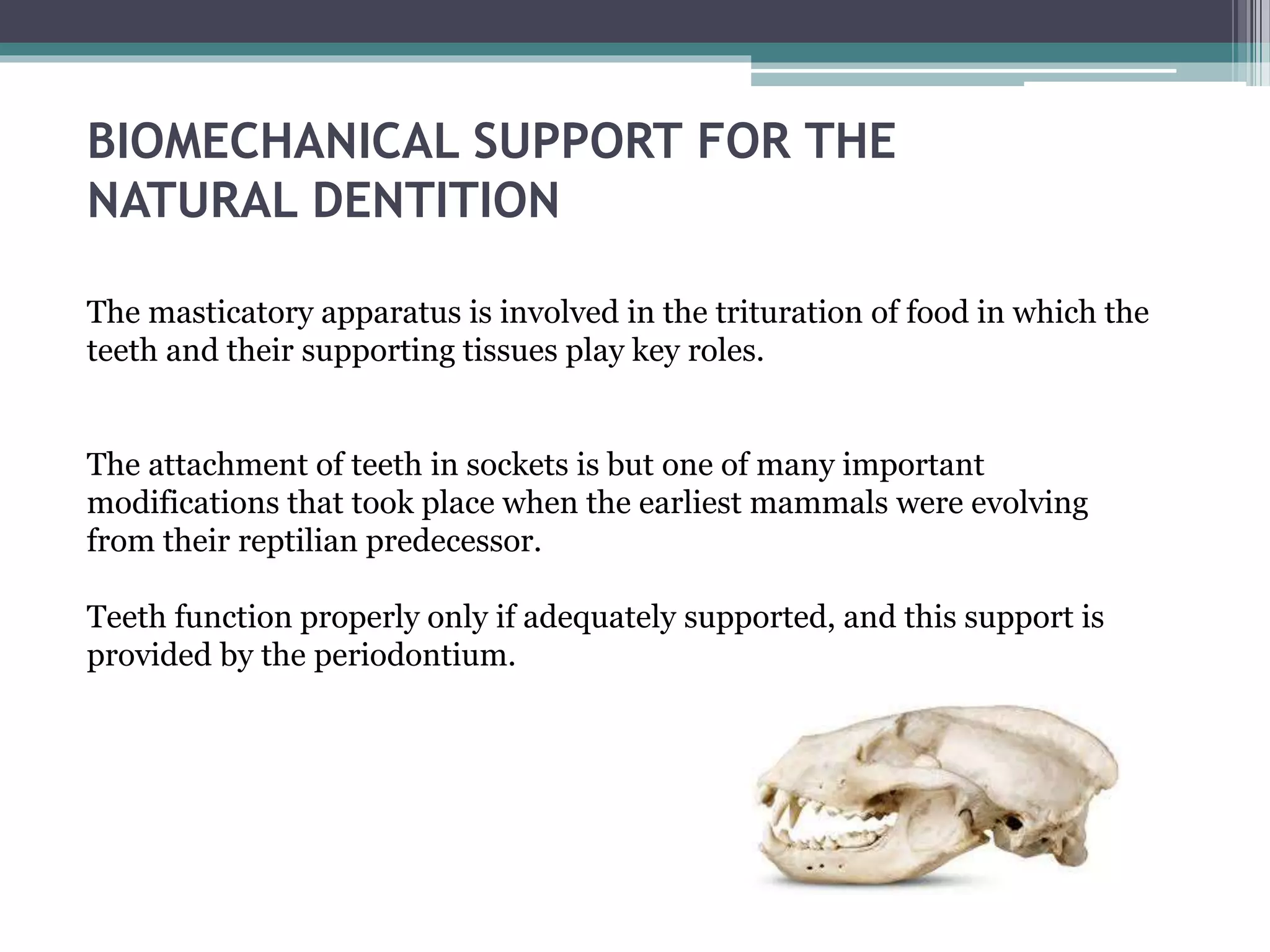 Biomechanics of edentulous state | PPTX