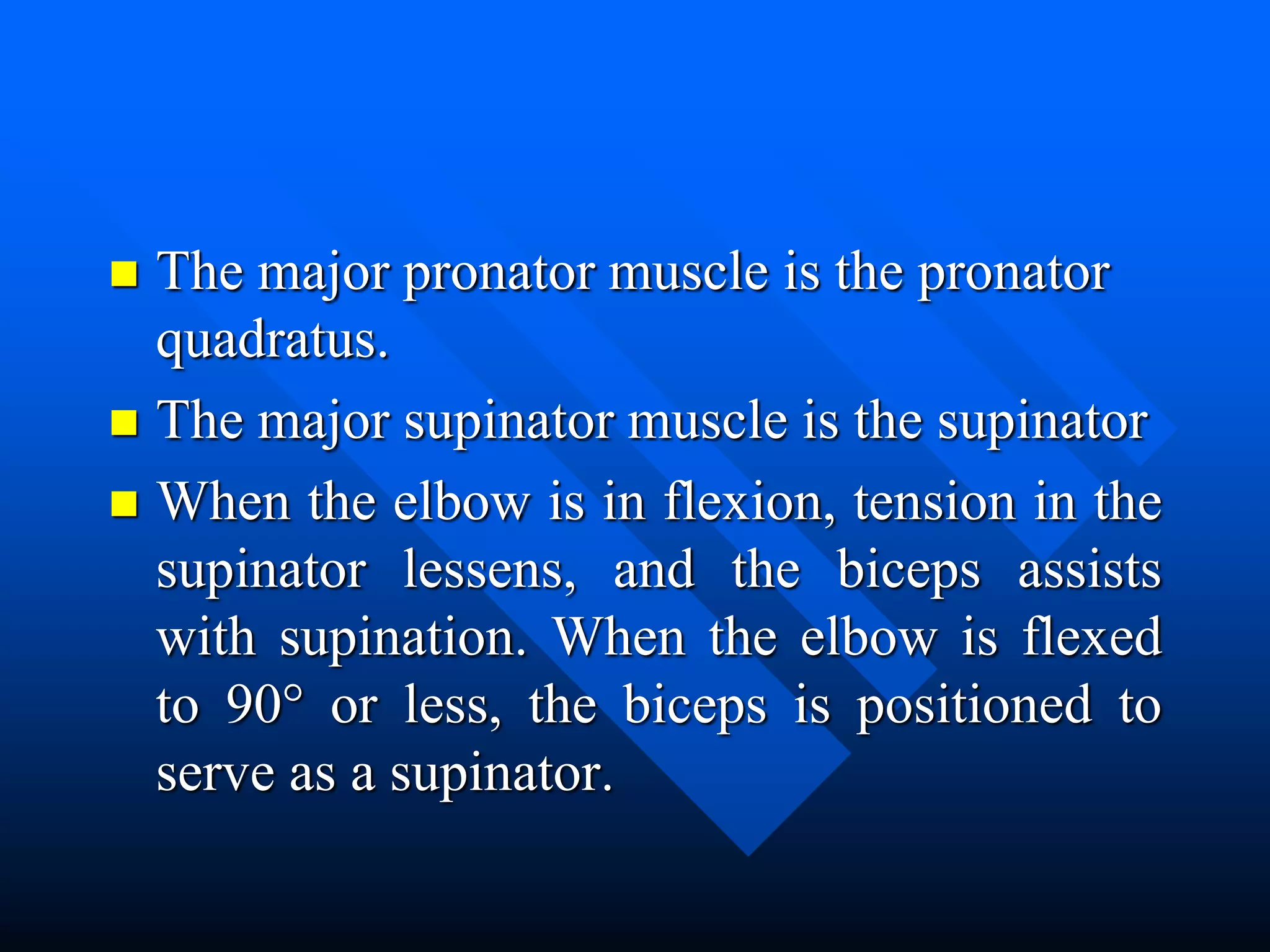 BIOMECHANICS OF ELBOW COMPLEX 1.pptx | Death, Injury, or Military ...