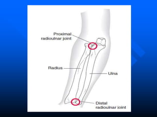 BIOMECHANICS OF ELBOW COMPLEX 1.pptx