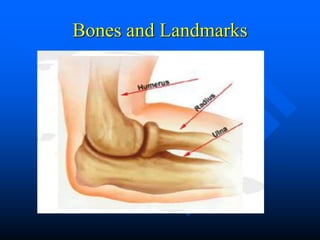 BIOMECHANICS OF ELBOW COMPLEX 1.pptx