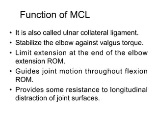 Biomechanics of elbow joint | PDF