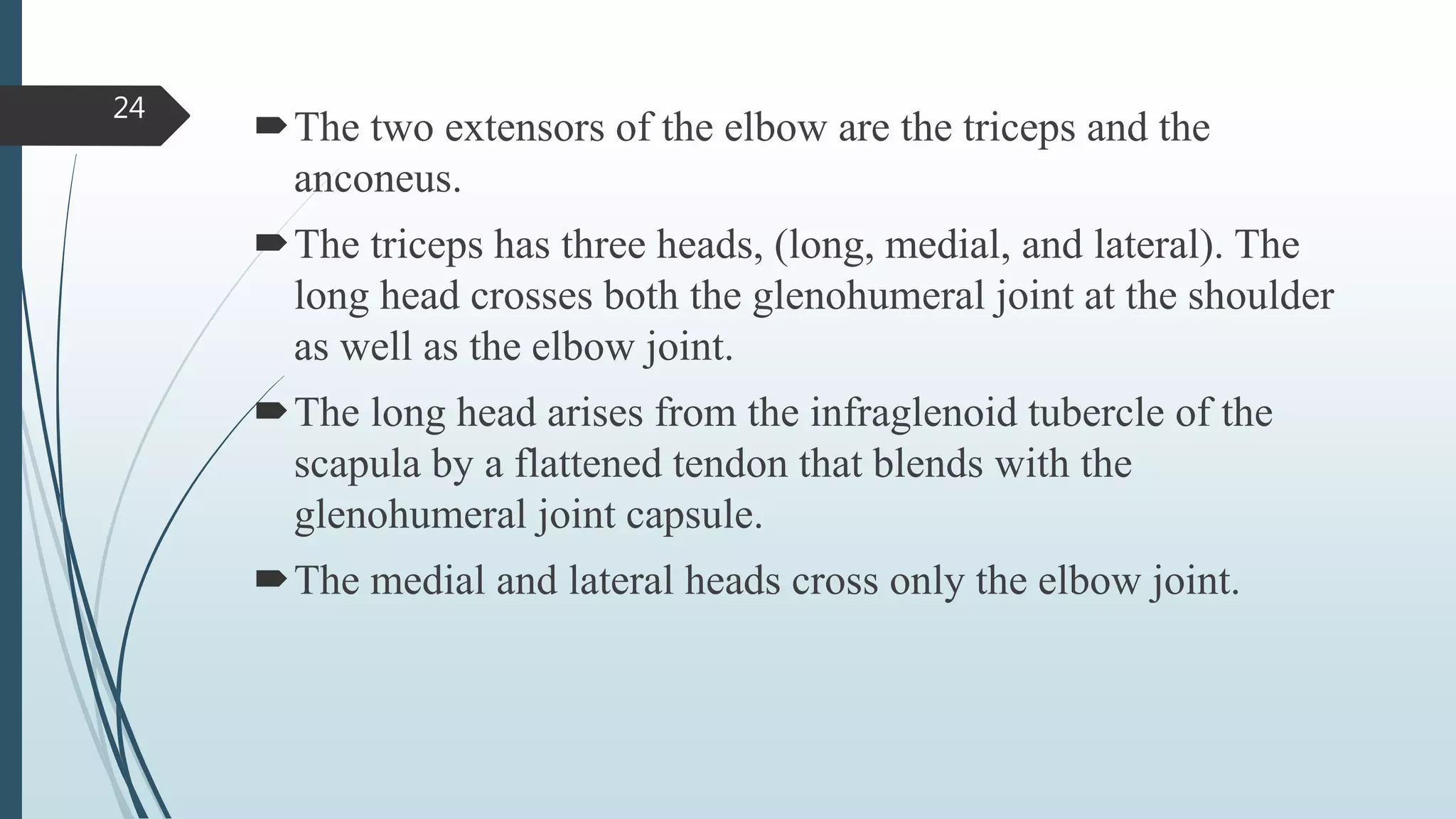 Biomechanics of elbow joint | PPTX