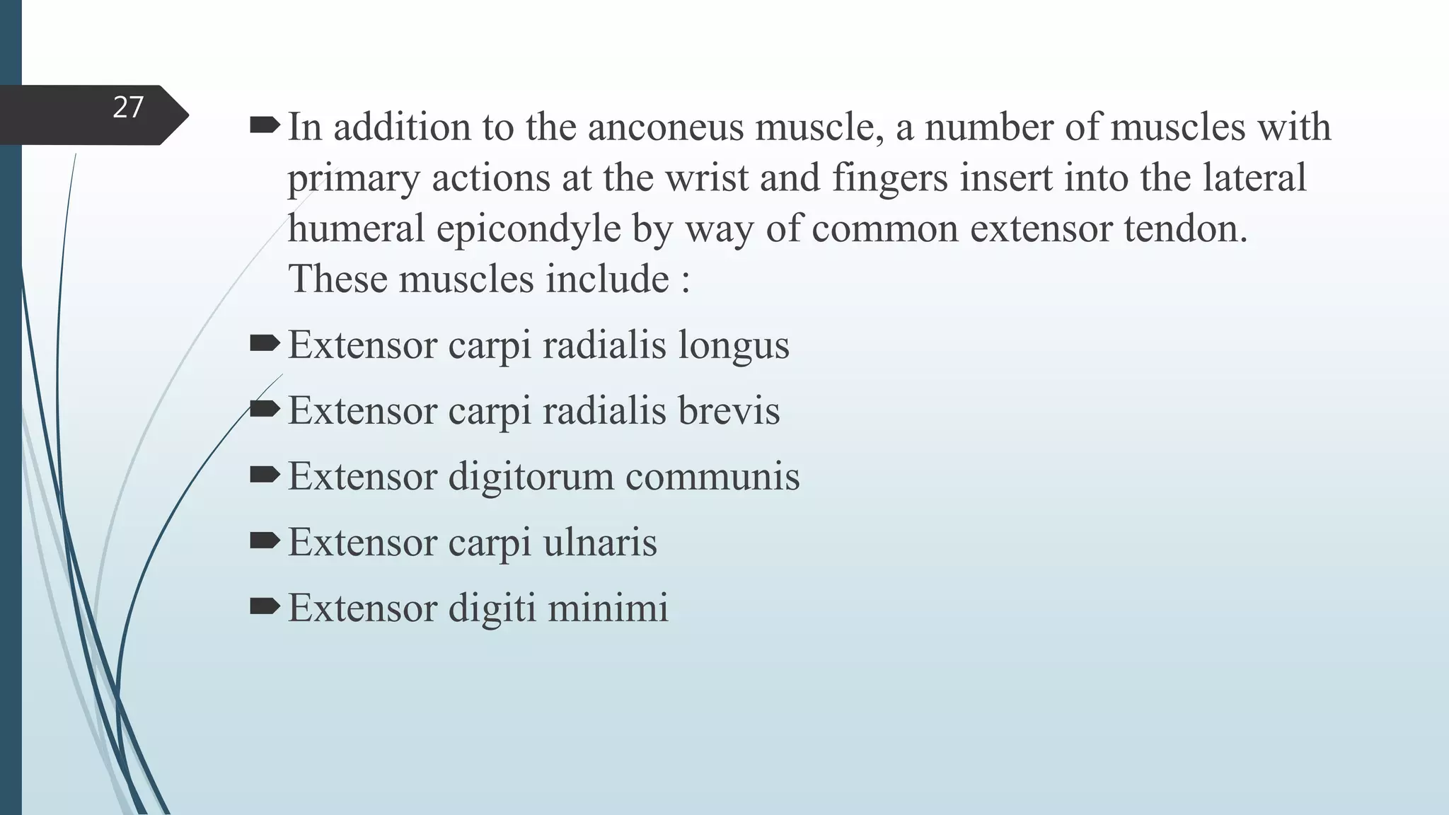 Biomechanics of elbow joint | PPTX