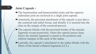 Biomechanics of elbow joint | PPTX
