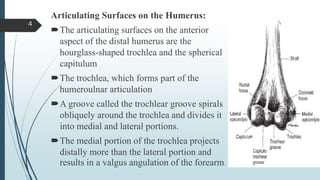 Biomechanics of elbow joint | PPTX