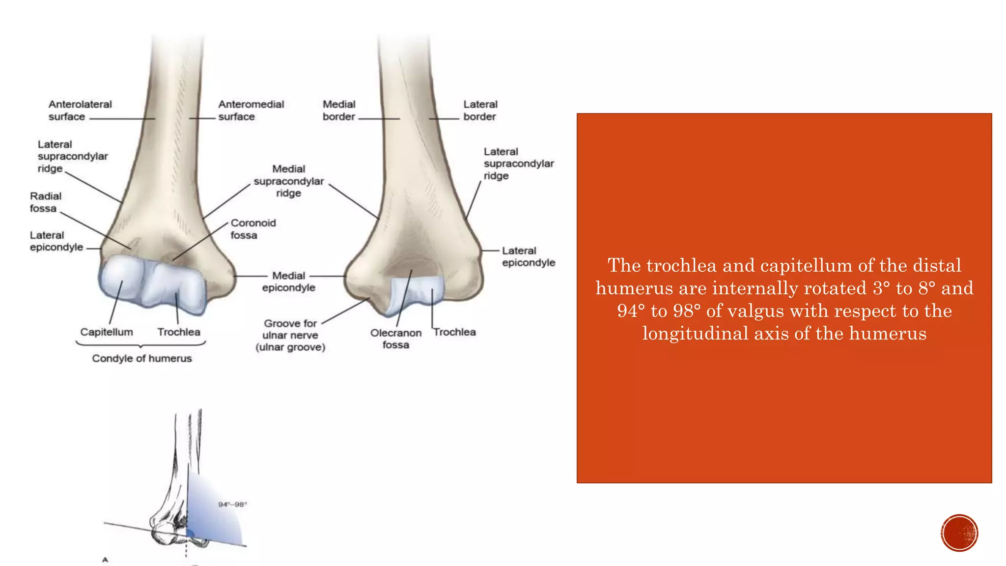 Biomechanics of elbow joint . | PPTX