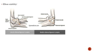 Biomechanics of elbow joint . | PPTX | Death, Injury, or Military ...