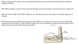 Biomechanics of elbow joint . | PPTX