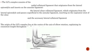 Biomechanics of elbow joint . | PPTX