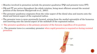 Biomechanics of elbow joint . | PPTX