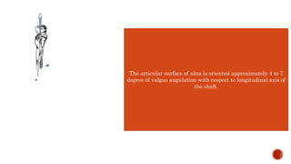 Biomechanics of elbow joint . | PPTX