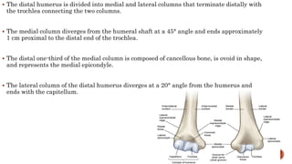 Biomechanics of elbow joint . | PPTX