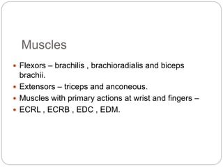 Biomechanics of elbow complex Dr Gurjant Singh.pptx