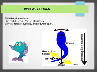 Biomechanics of fishes and applications | PPT