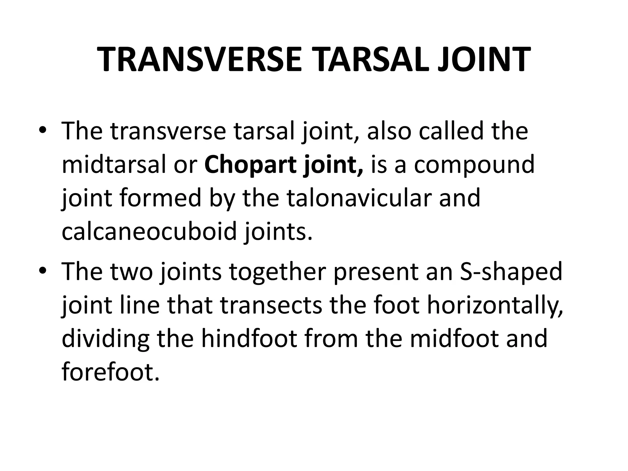 Biomechanics of foot | PDF