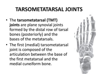 Biomechanics of foot | PDF